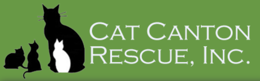 The Adoption Process | Cat Canton Rescue – Cats and Kittens for Adoption